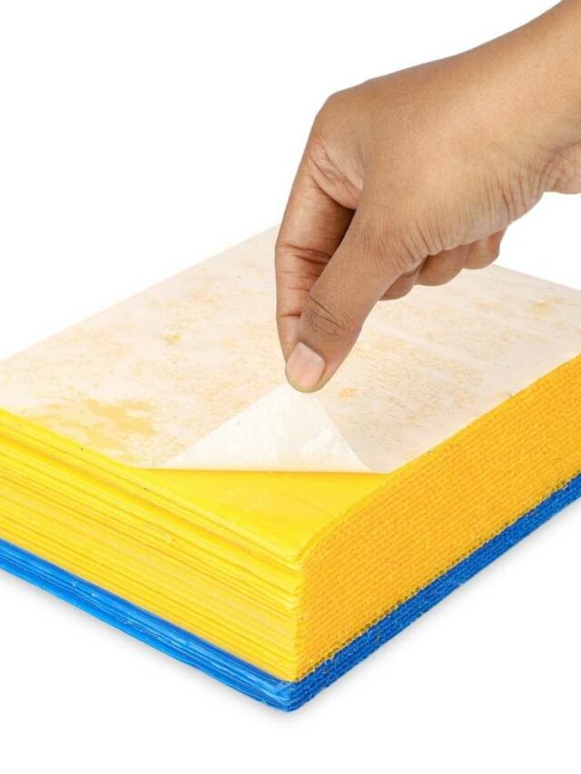 Benefits of sticky trap for plants! - Organicbazar Blog