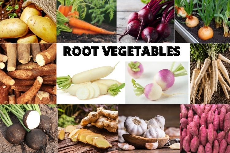 जानें रूट वेजिटेबल को उगाने से सम्बंधित जानकारी - Growing root ...