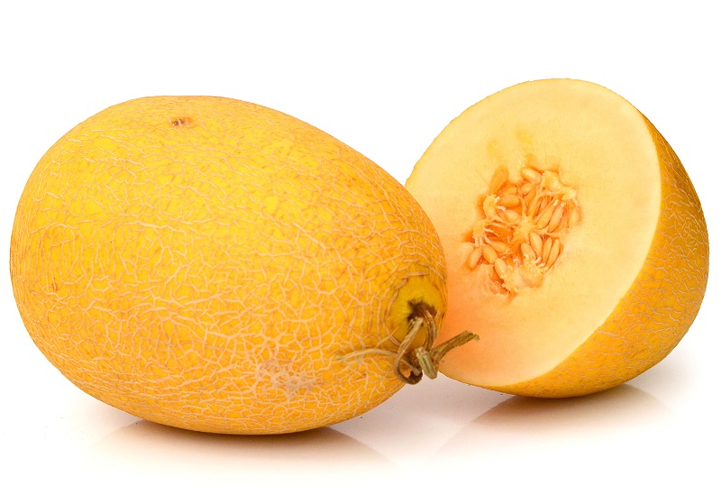 खरबूज के लिए बेस्ट आर्गेनिक फ़र्टिलाइज़र ! - Organicbazar Blog