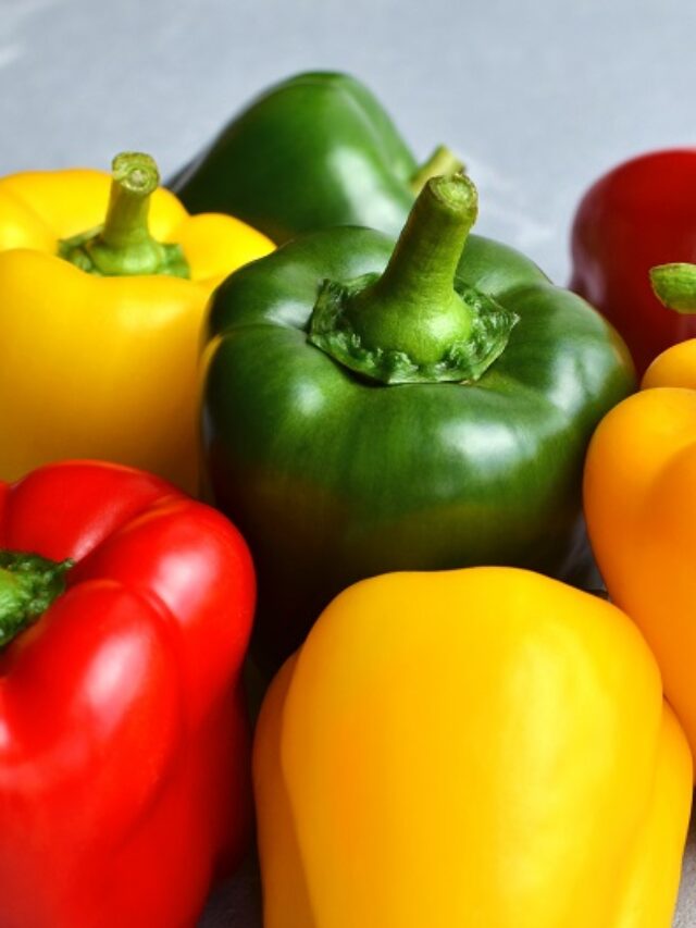 रैनी सीजन में शिमला मिर्च कैसे उगायें? - Organicbazar Blog