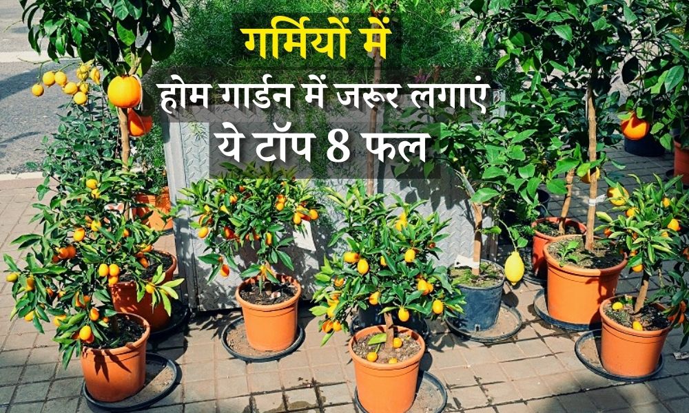 गर्मियों में घर पर उगाए जाने वाले टॉप 8 फल - Fruits That Grow in Summer ...