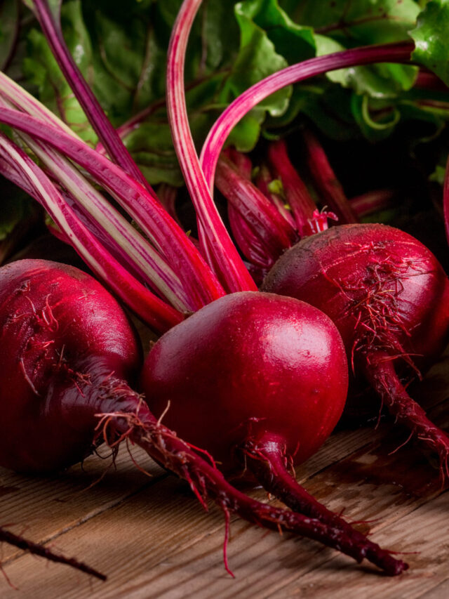 रैनी सीजन में चुकंदर कैसे उगायें? - Organicbazar Blog