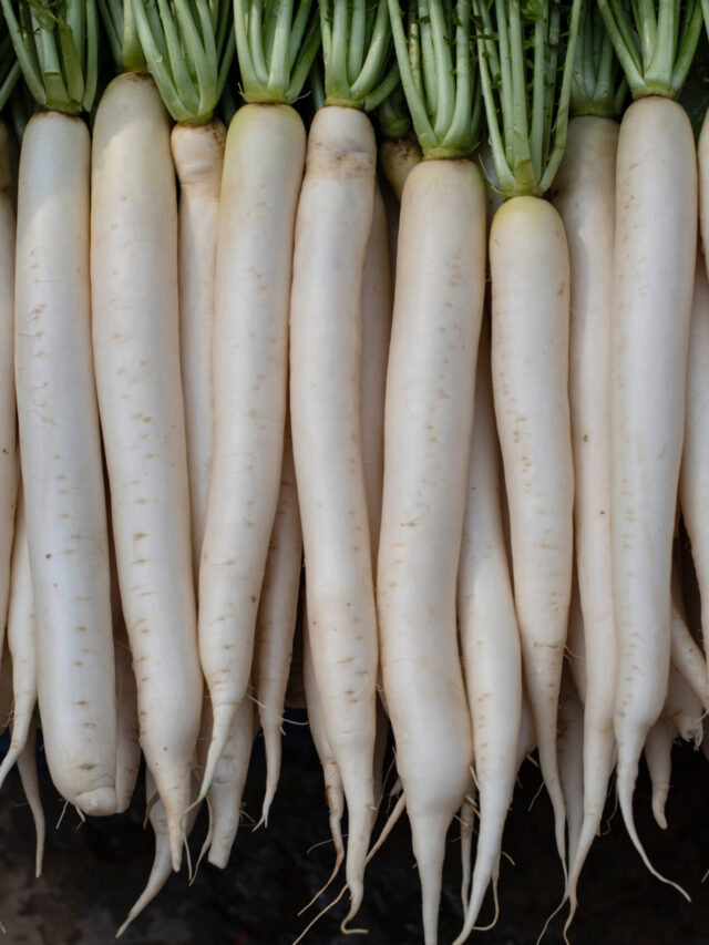 घर पर ताजी मूली कैसे उगाएं? - Organicbazar Blog