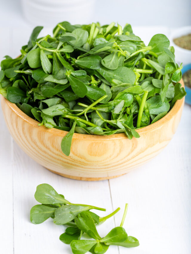 Growing Noniya Saag/Kulfa ki bhaji in Home gardens: A Guide ...