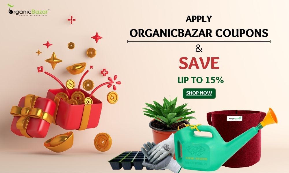 Use Organicbazar Special Coupon codes and Get up to 15% Discount