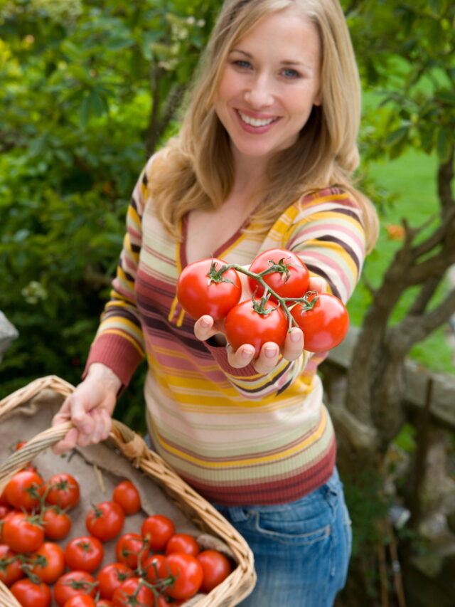 Best time to harvest vegetables and fruits! - Organicbazar Blog