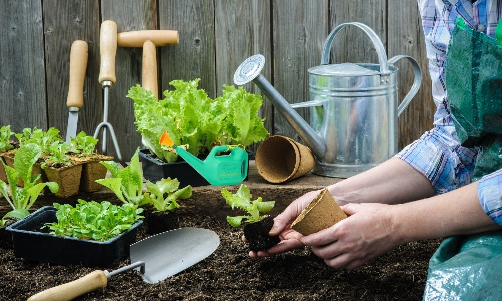 पौधे लगाने के लिए उपयोग किये जाने वाले टूल्स - Planting Tools For Home Garden In Hindi