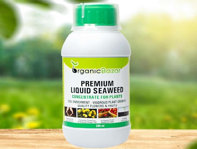 पौधों पर तरल कैल्शियम उर्वरकों का छिड़काव क्यों और कैसे करें - Calcium ...