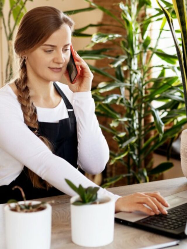 How To Take Care Of Desk Plants at Kate Donaghy blog