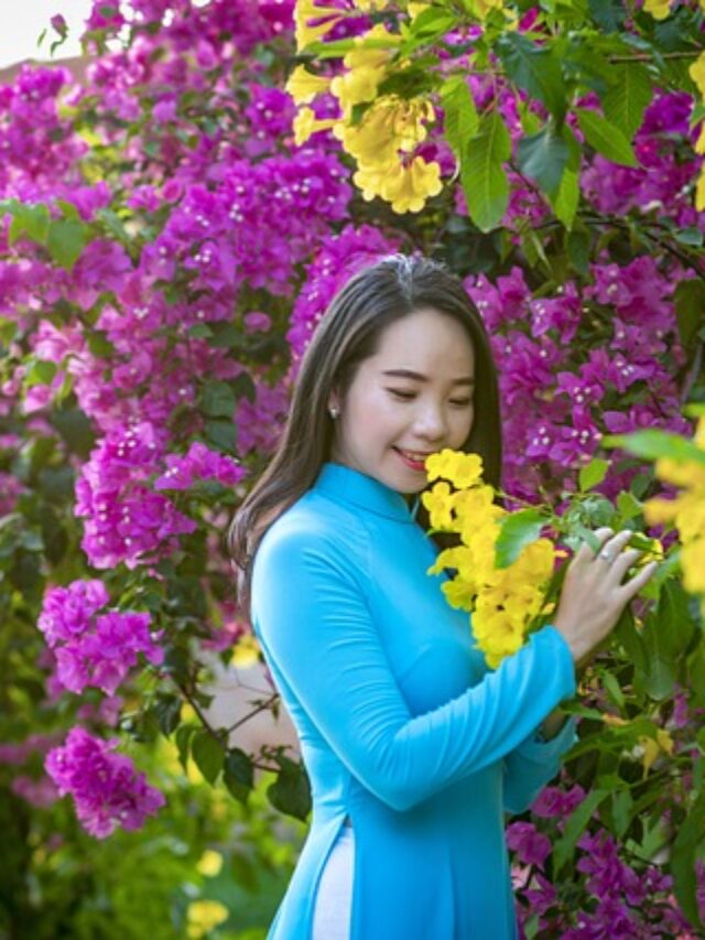 Top Fast-Growing Creeper Plants in India! - Organicbazar Blog