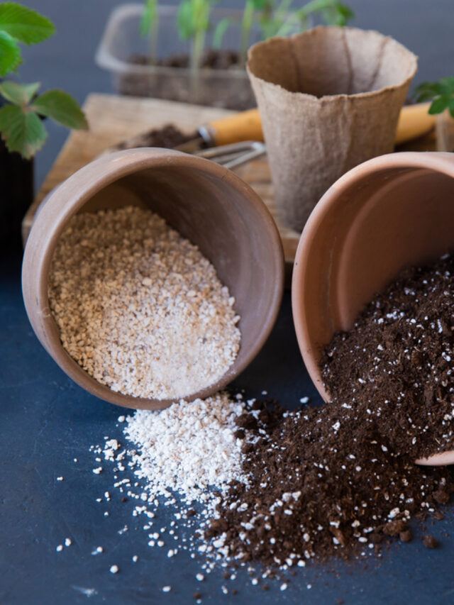 How To Use Perlite In The Garden? - Organicbazar Blog