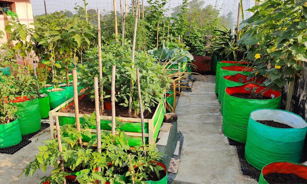 होम गार्डन के लिए बड़े साइज के गमले और उनके फायदे - Best Large Planters For The Garden And Their ...