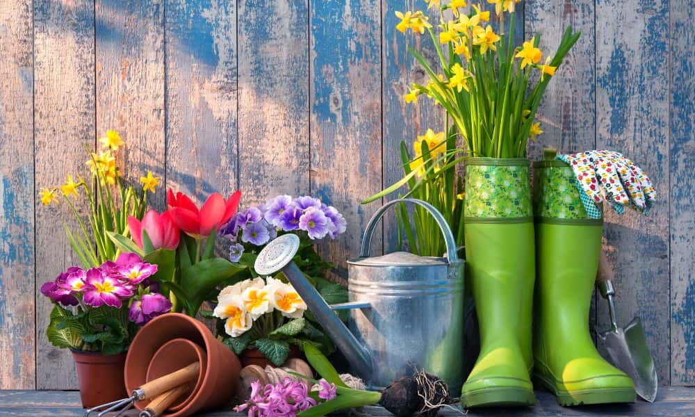 Spring Season शुरू होने से पहले गार्डन में जरूर करें ये 10 काम - 10 ...