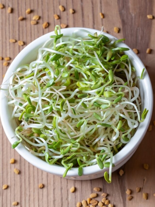 Health benefits of Microgreens! - Organicbazar Blog
