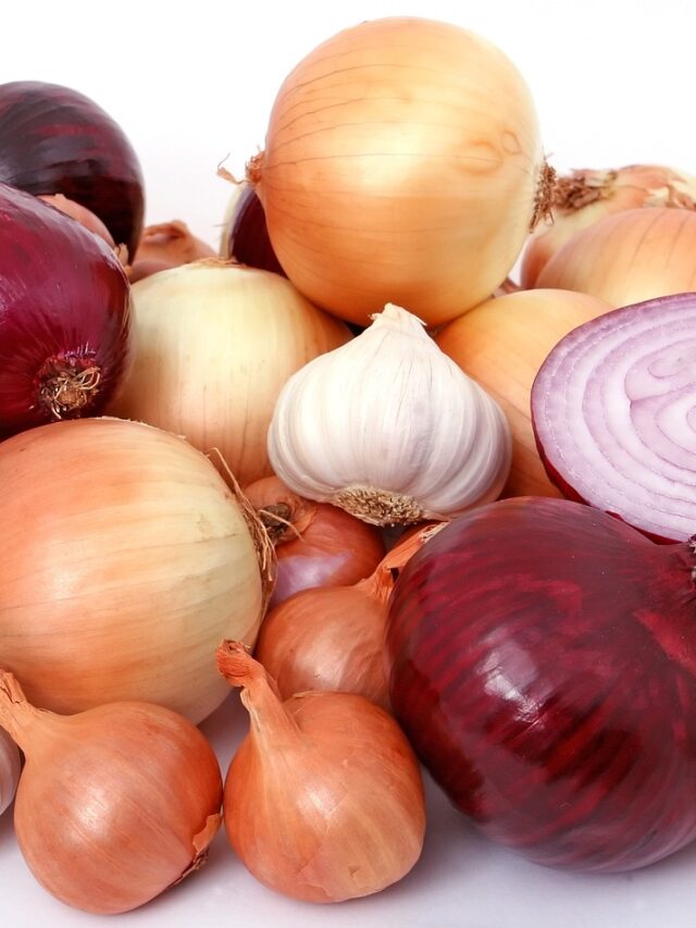 Different Types Of Onion To Grow Easily At Home!