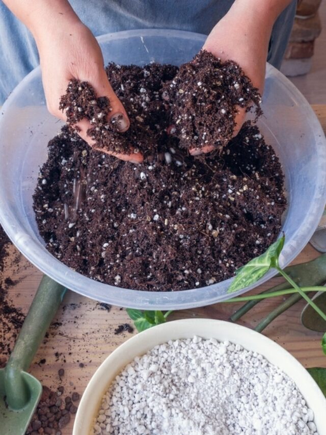 How To Prepare Homemade Potting Mix For Plants? - Organicbazar Blog