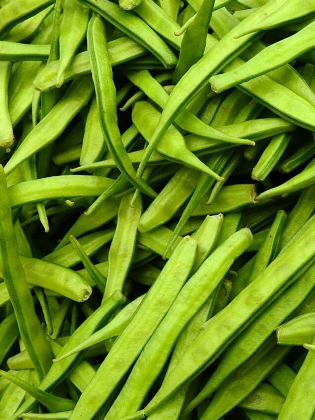 जाने गमले में ग्वार फली कैसे उगाएं! how to grow cluster beans in pots