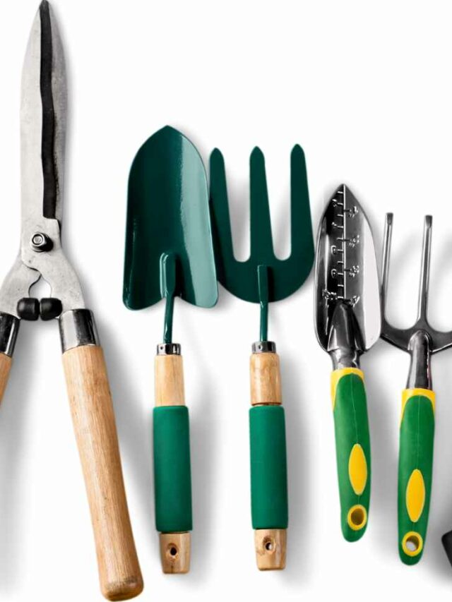 7 Tips For Caring Of Garden Tools! - Organicbazar Blog