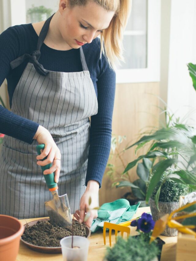 छत पर गार्डनिंग के लिए उपजाऊ मिट्टी कैसे तैयार करें! How to prepare ...