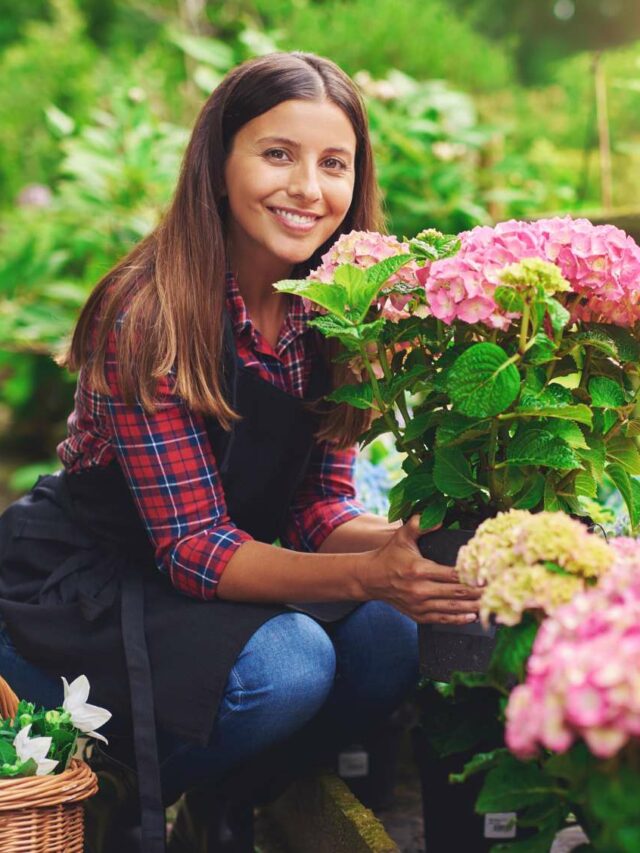 7 summer gardening problems solved! - Organicbazar Blog 7 summer gardening problems solved! - Organicbazar Blog