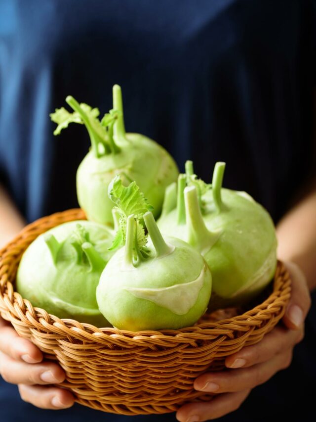 How To Grow Knol Khol (kohlrabi) From Seeds? - Organicbazar Blog