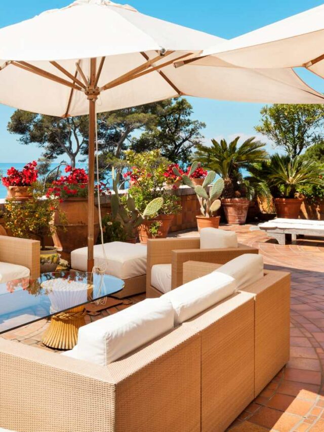 The Value of Having a Terrace Garden! - Organicbazar Blog