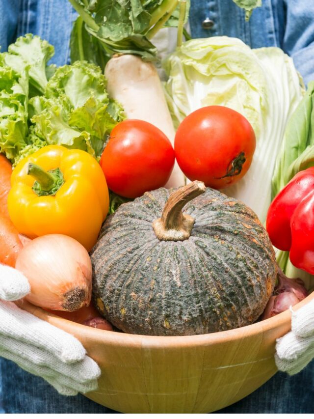 टॉप 10 गर्मियों में उगाई जाने वाली सब्जियां! Grow this summer vegetable ...