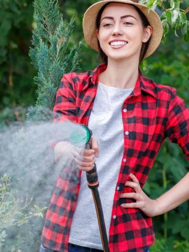 "Summer Plant Care: 6 Tips for Healthy Plants! - Organicbazar Blog