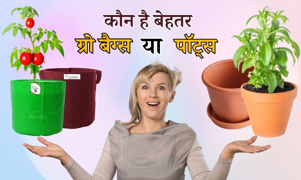 जानिए पौधे लगाने के लिए क्यों है ग्रो बैग एक अच्छा गमला – Grow Bag Or ...