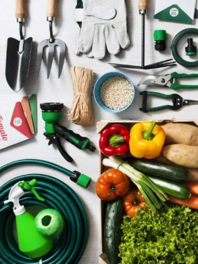 Tools and Supplies Required for Vegetable Gardening! - Organicbazar Blog
