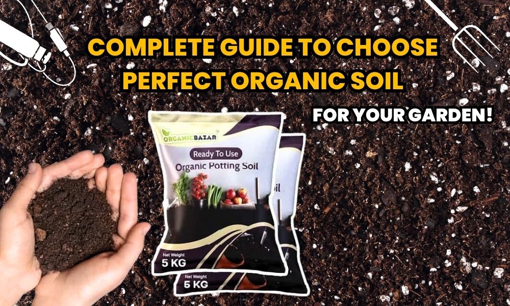 How To Choose The Right Organic Soil For Your Plants In The Garden Or ...