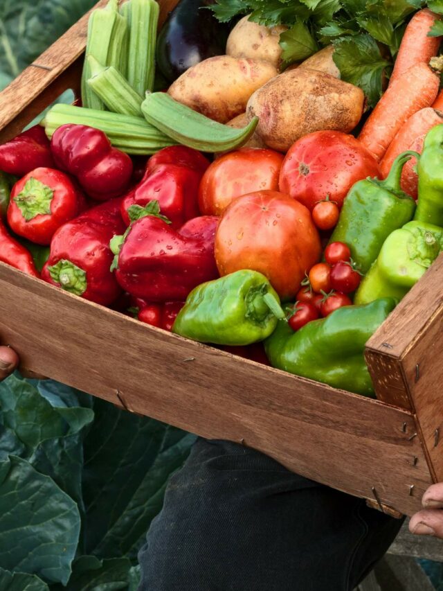 May's Bounty: Choosing the Perfect Vegetables for a Thriving Garden ...
