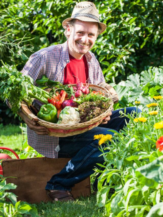 Tips for Successful Vegetable Gardening in May! - Organicbazar Blog