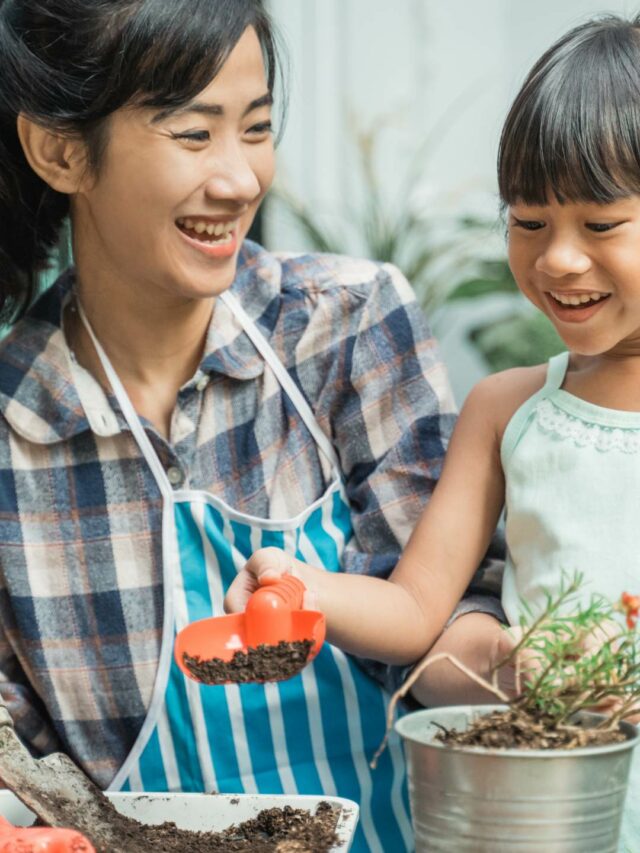 Organic Soil Enhancement: A Step-by-Step Guide to Amending Your ...