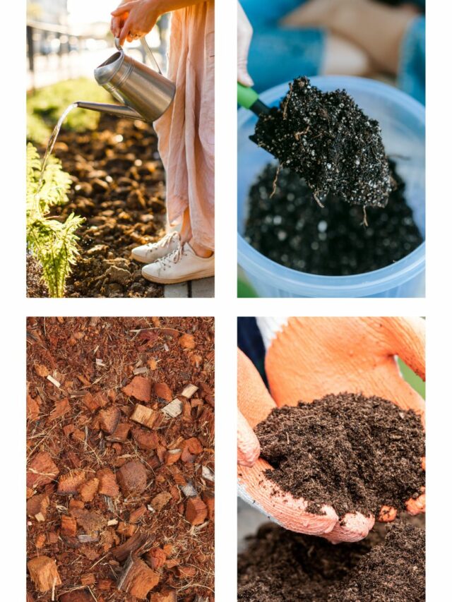 Top Strategies for Soil Health Maintenance in Your Garden ...
