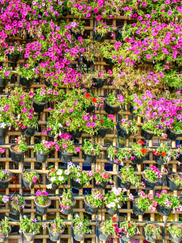 Space-Saving Success: The Benefits of Vertical Gardening - Organicbazar ...