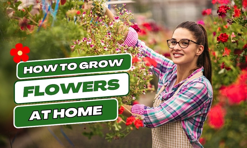 How to Grow Beautiful Flowers at Home: A Step-by-Step Guide ...
