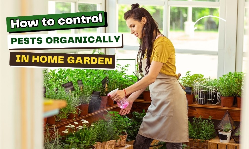 How to Control Pests Organically In The Garden: A Guide to Natural Pest ...