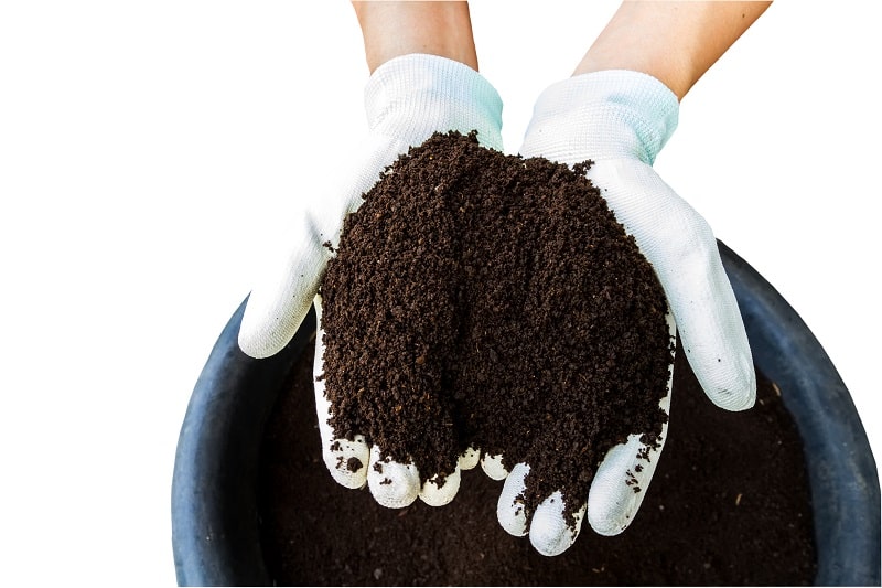 वर्मी कम्पोस्ट के फायदे और नुकसान - Advantages And Disadvantages Of Vermicompost In Hindi ...