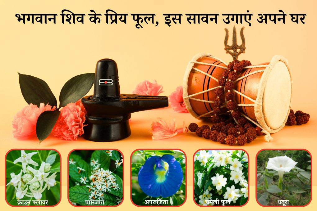 भगवान शिव के यह पसंदीदा फूल इस सावन उगाएं अपने घर - Lord Shiva's ...