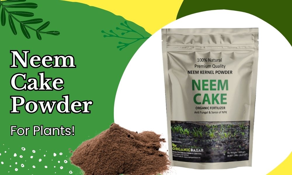 Neem Cake Powder for Plants: An Organic Marvel in Gardening ...