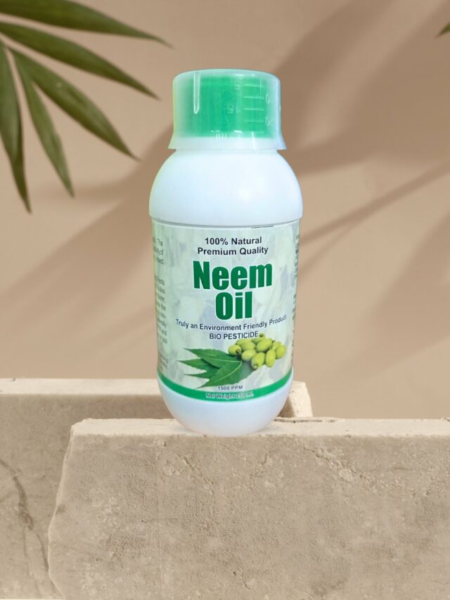 Applying Neem Oil to Plants: A Step-by-Step Guide!
