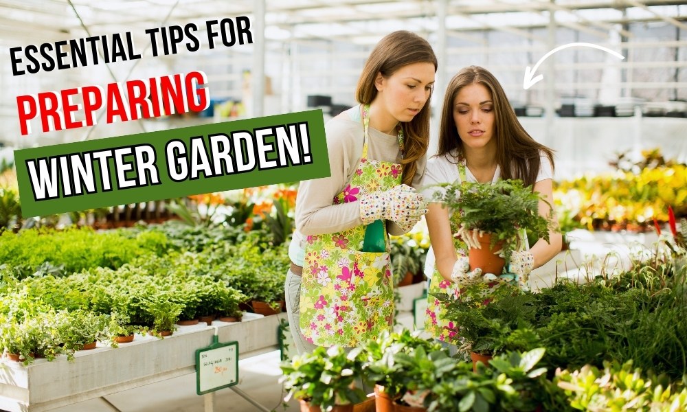 Essential Tips To Preparing Your Garden For Winter - Organicbazar Blog