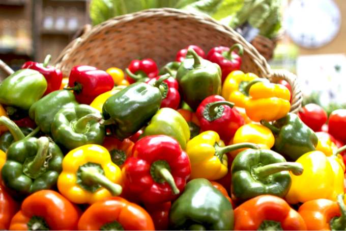 Growing Capsicum in Grow Bags from Seeds