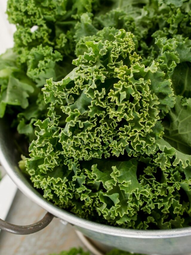 Grow Kale in Pots: A Guide to Homegrown Goodness! - Organicbazar Blog