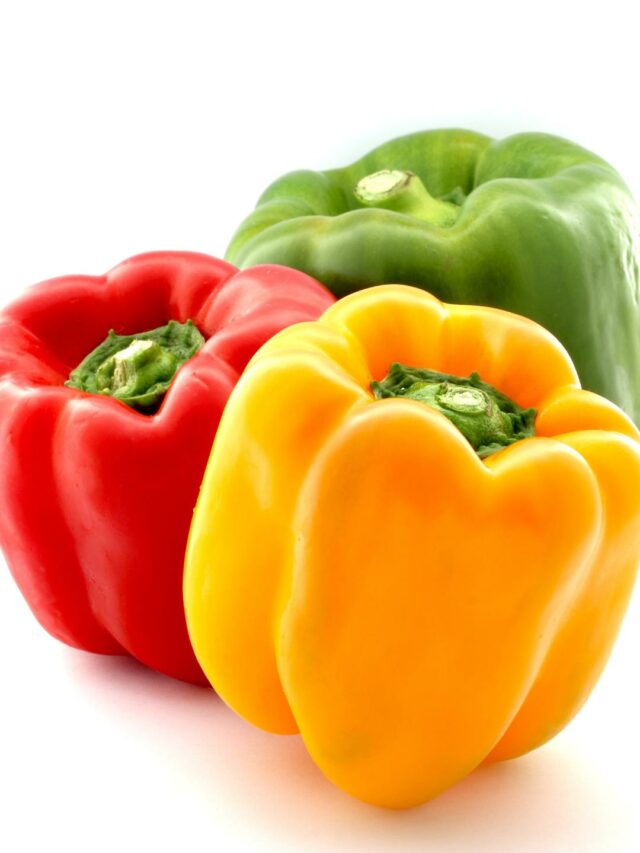 A Complete Guide to Growing Capsicum at Home! - Organicbazar Blog