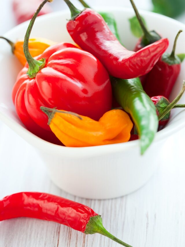 Spice Up Your Garden: Growing Popular Chilli Varieties in India ...