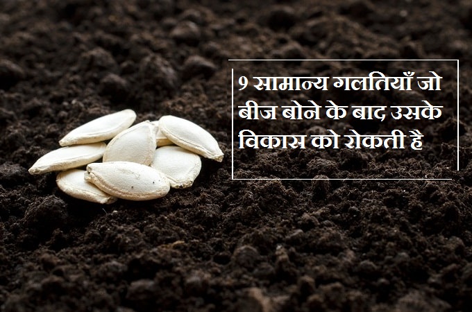 10 सामान्य गलतियाँ जो बीज बोने के बाद पौधे को उगने से रोकतीं हैं - 10 ...