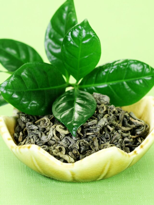 Know the Power of Green Tea in Gardening! - Organicbazar Blog