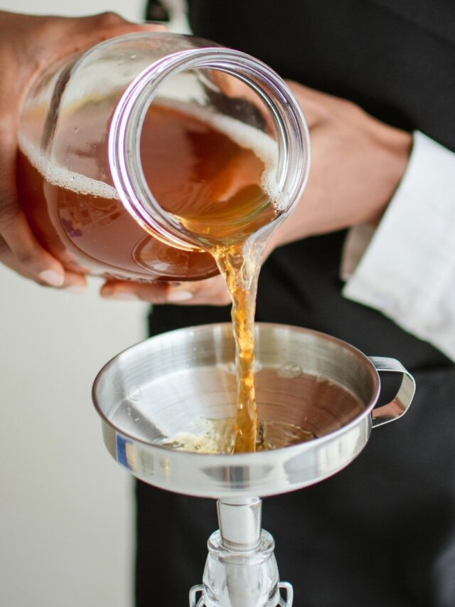 A Step By Step Diy Guide On Making Compost Tea For Plants